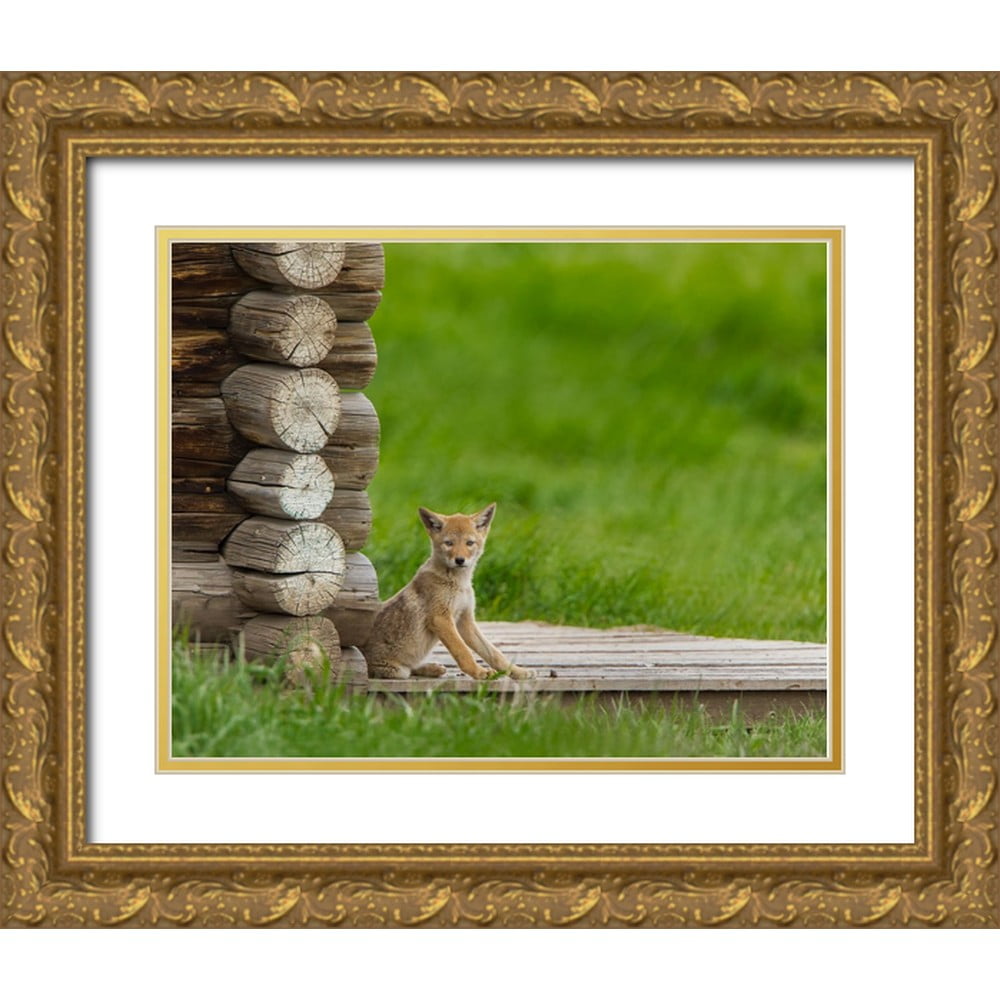 Galloimages Online 24x20 Gold Ornate Wood Framed with Double Matting ...