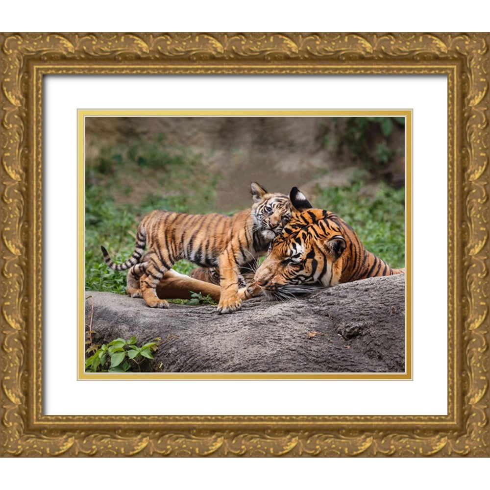 Galloimages Online 32x26 Gold Ornate Wood Framed with Double Matting ...