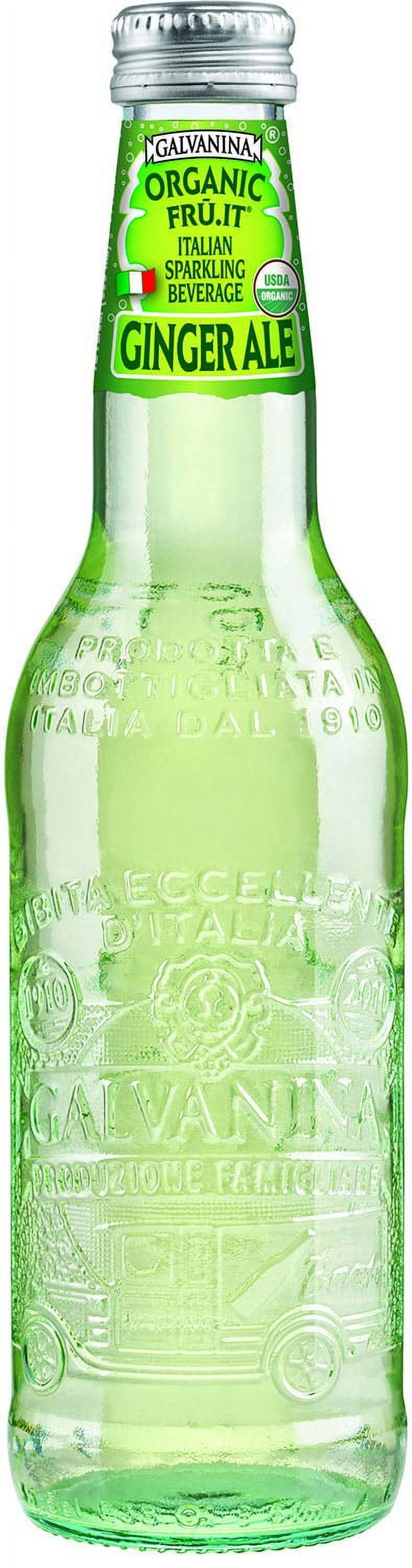 Galvanina - Ginger Ale - Premium Organic Italian Sparkling Soda - 12 fl ...