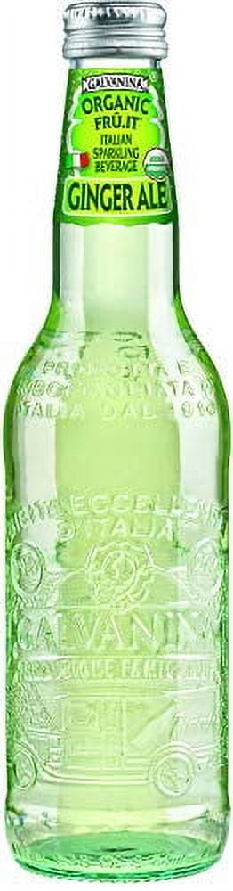 Galvanina - Ginger Ale - Premium Organic Italian Sparkling Soda - 12 fl ...