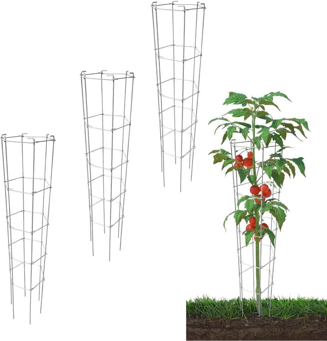 Galvanized Hexagon Folding Tomato Cage Climbing Plant Support Tower ...