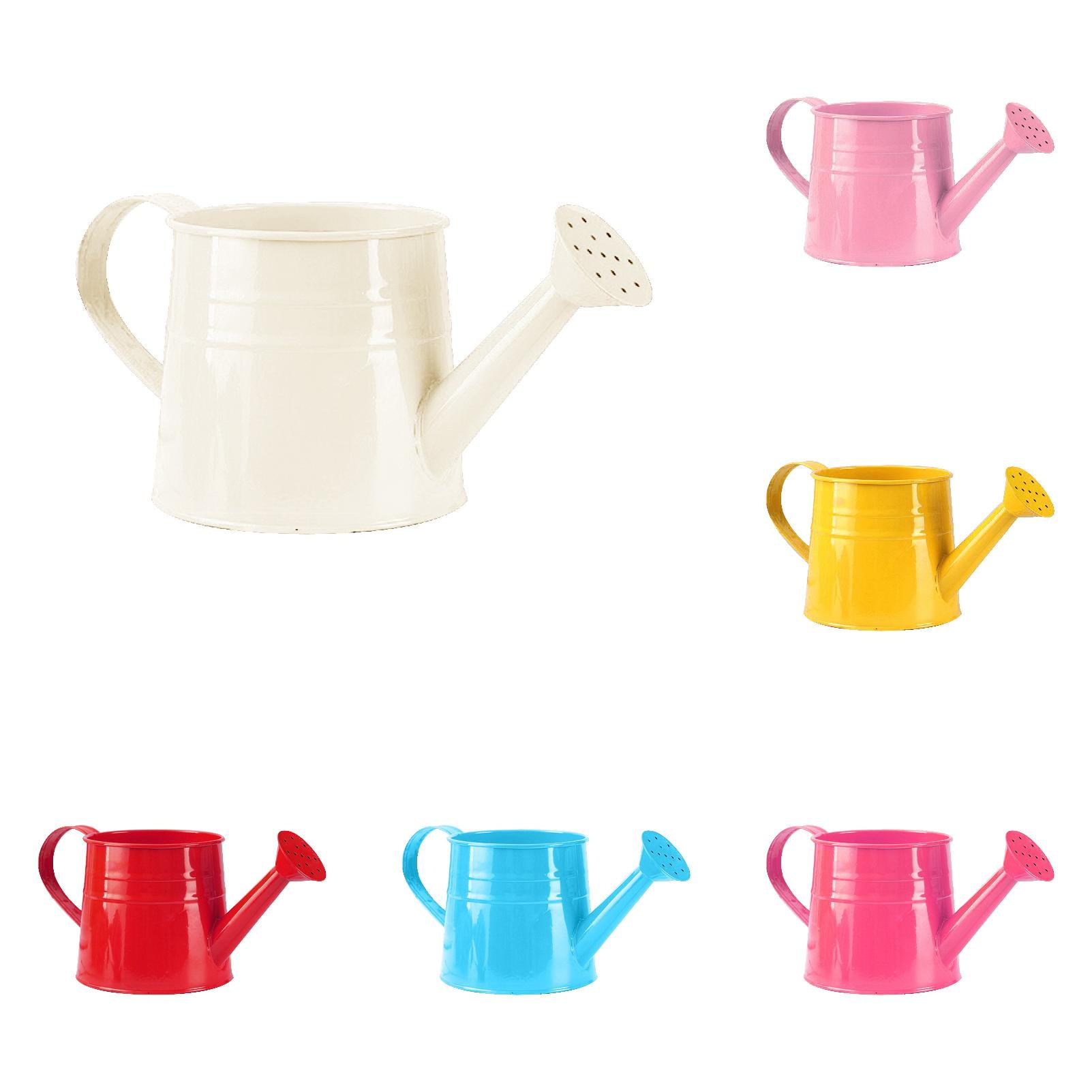 Galvanized Iron Watering Can 1L - Small Metal Plant Watering Can for ...