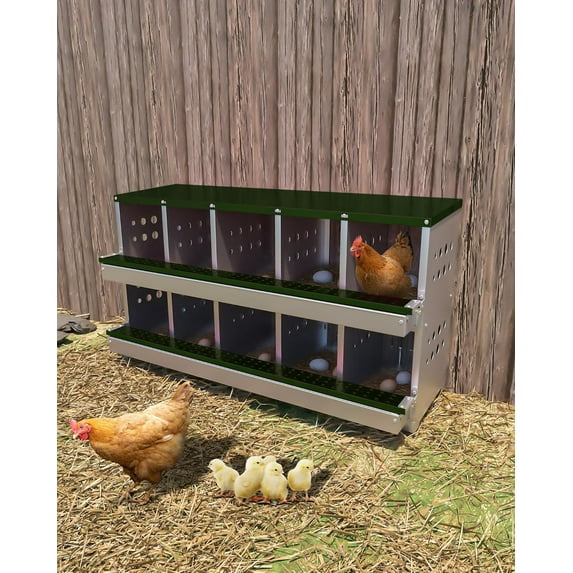 Galvanized Metal Chicken Nesting Box - 10 Compartments with Perch Rod ...