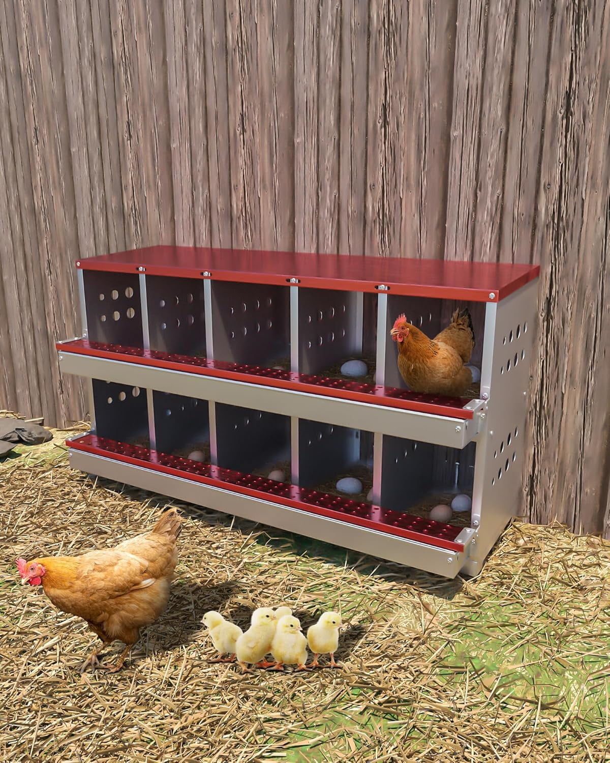 Galvanized Metal Chicken Nesting Box - 10 Compartments with Perch Rod, Egg Collection Tray ...