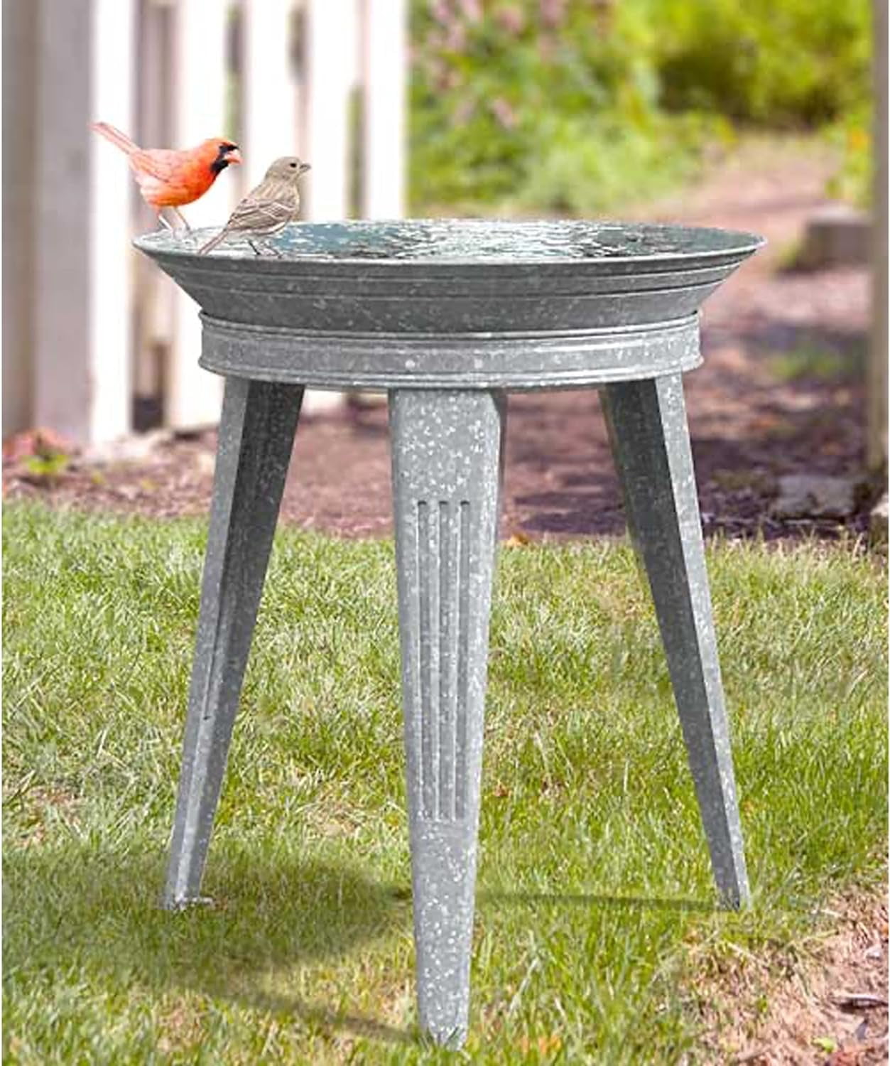 Galvanized Metal Outdoor Bird Bath, 2 Inch Bird Bath Bowl and 3 Legged ...