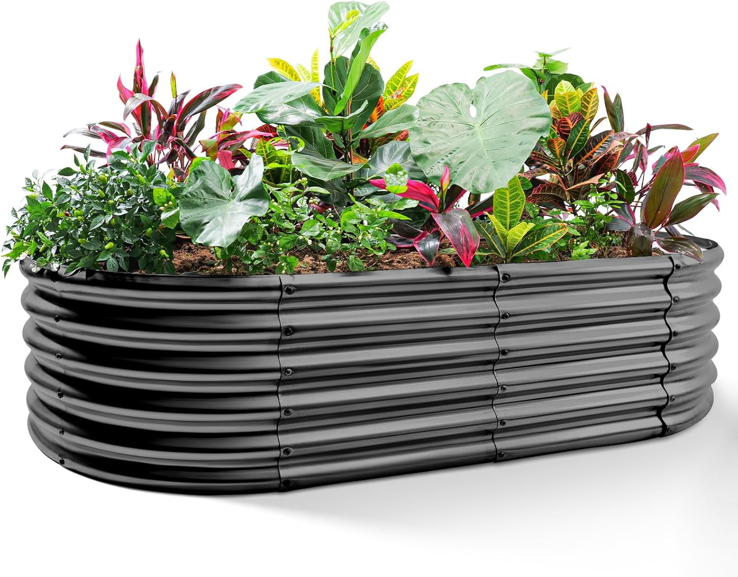 Galvanized Metal Raised Garden Bed Kit, 8x4x1.5ft Large Planter Boxes ...