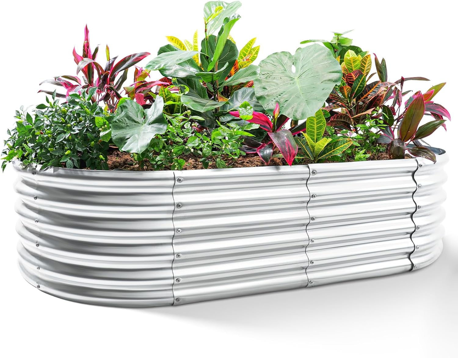 Galvanized Metal Raised Garden Bed Kit, 8x4x1.5ft Large Planter Boxes ...