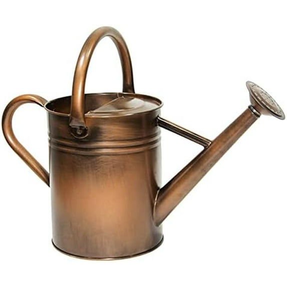 Galvanized Metal Watering Can, One Gallon Watering Cans for Outdoor ...