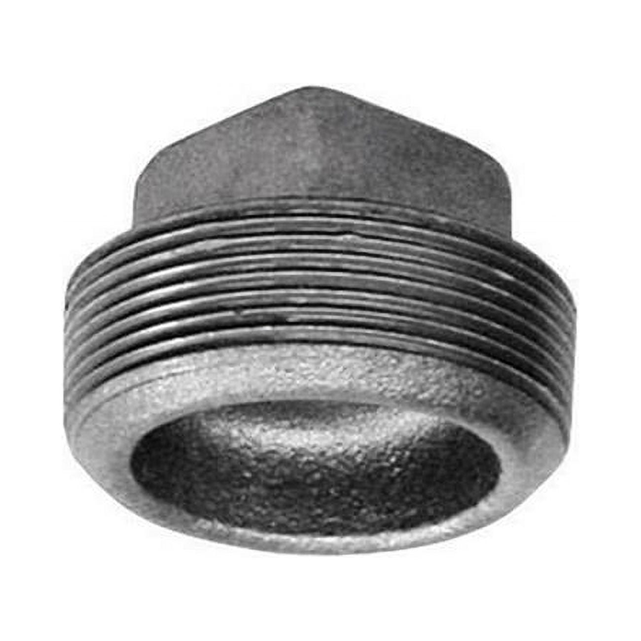 Galvanized Pipe Plug - Walmart.com