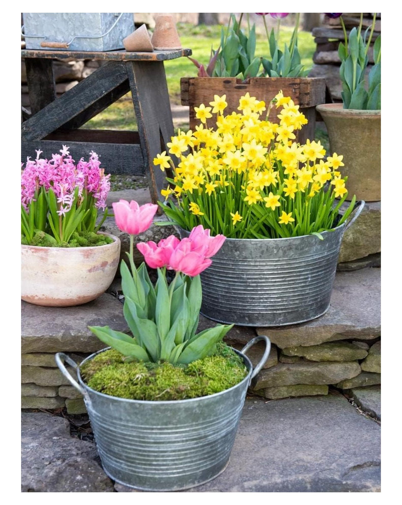 Galvanized Planter | Indoor Outdoor Sturdy Vintage Wash Basin Farmhouse ...