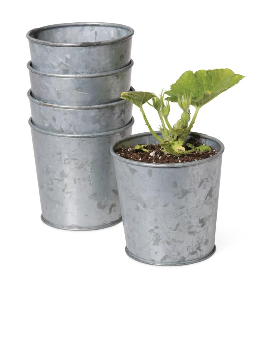 Galvanized Planting Cups Set of 5 - Walmart.com