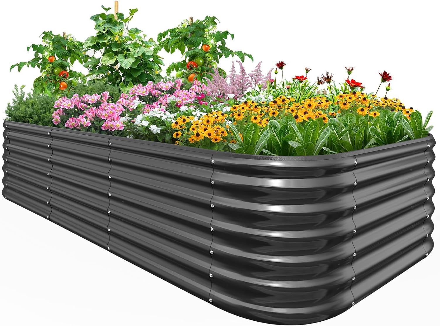 Galvanized Raised Garden Bed Kit, 8x4x2 ft Oval Metal Planter Box Tall ...
