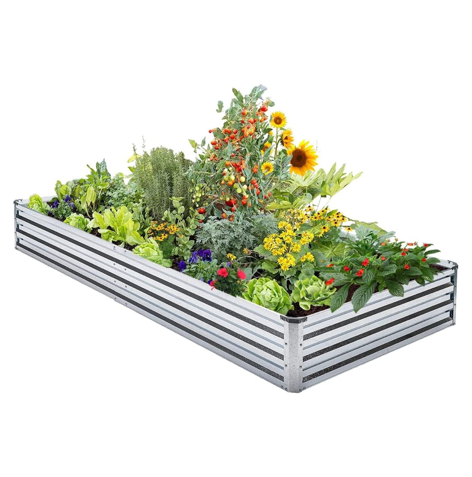 Galvanized Raised Garden Bed - Metal Raised Bed Garden Kit 6'x3'x1' for ...