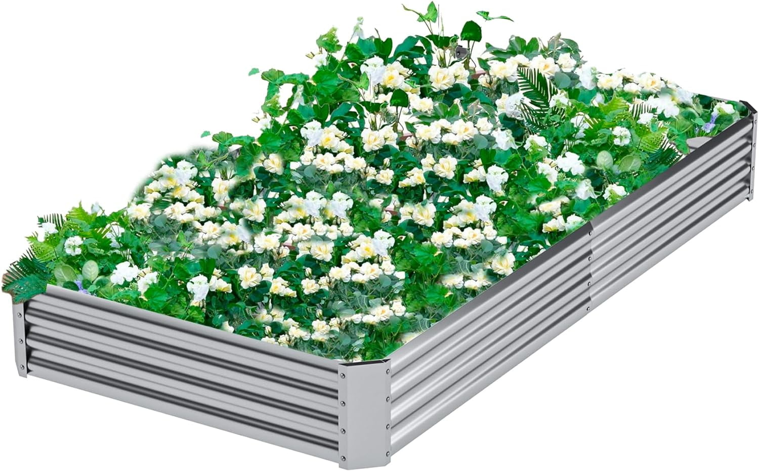 Galvanized Raised Garden Bed Outdoor 8x4x1ft,Planter Raised Beds for ...