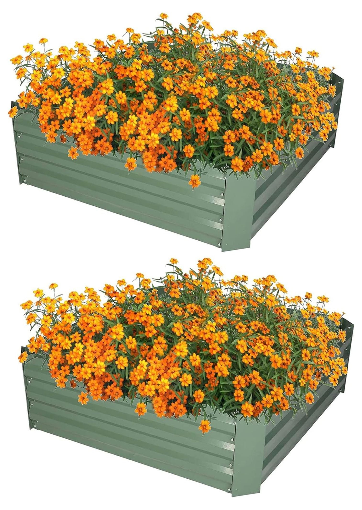 Galvanized Raised Garden Bed Planter Box 32"x32"x12" Anti-Rust Coated ...