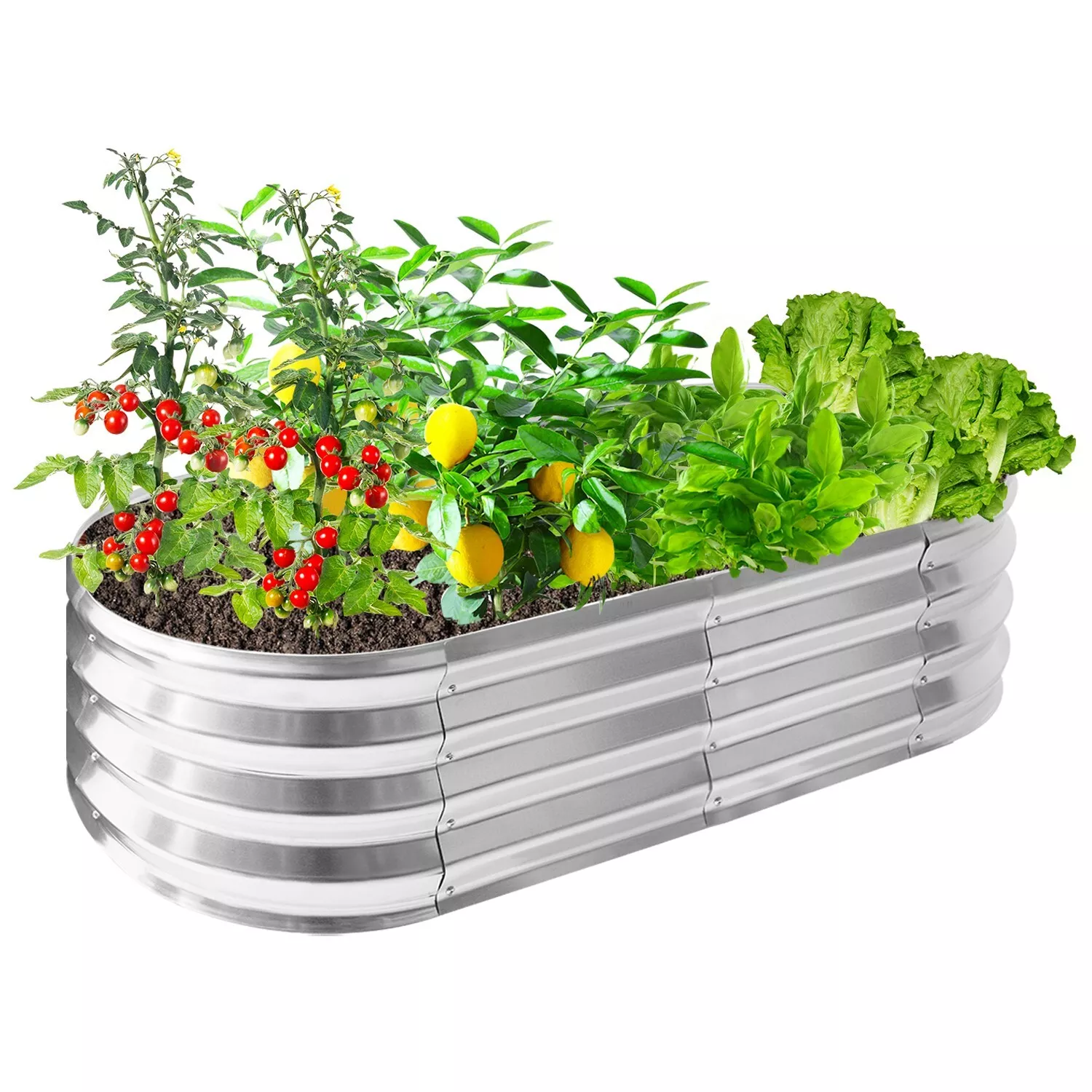 Galvanized Raised Garden Beds 4'x2'x1' Outdoor Raised Garden Boxes ...