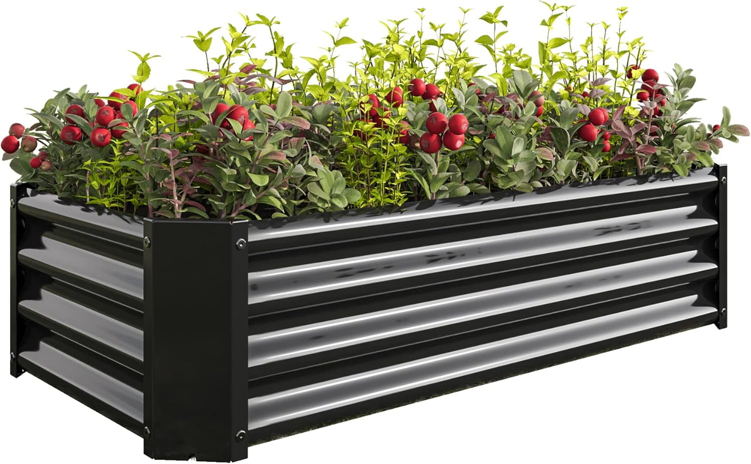 Galvanized Raised Garden Beds - Outdoor Gardening Kit, Rectangular ...