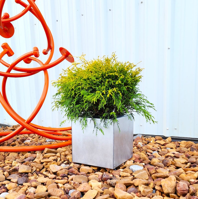 Galvanized Square Metal Planter - 10", 16", or 22" - Zinc Planter Box ...