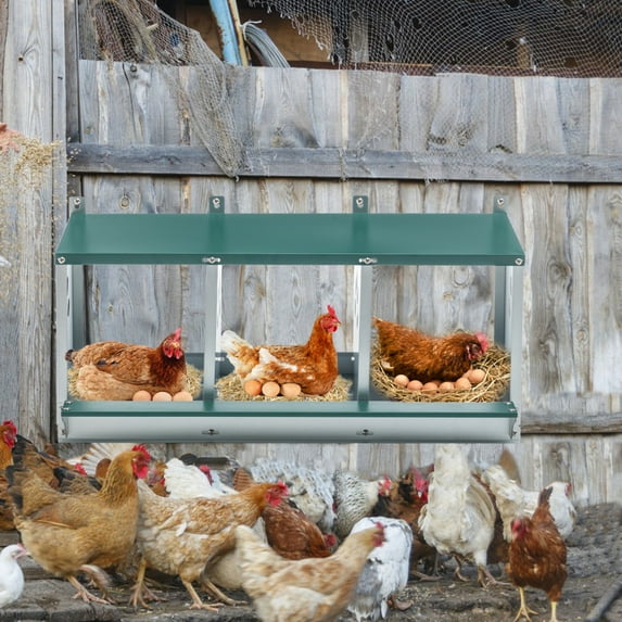 Galvanized Steel 3-Compartment Chicken Nesting Box - Metal Laying Box ...