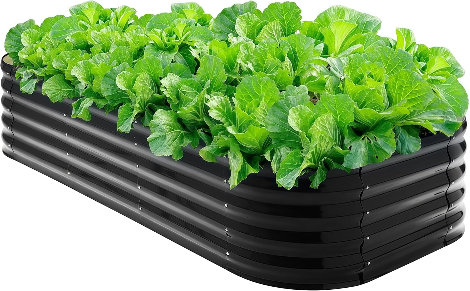 Galvanized Steel Raised Garden Bed 8x2ft Oval - 17" Tall 9-in-1 Modular ...