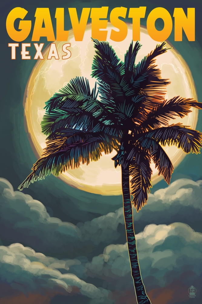 Galveston, Texas, Palm and Moon (16x24 Giclee Gallery Art Print, Vivid ...