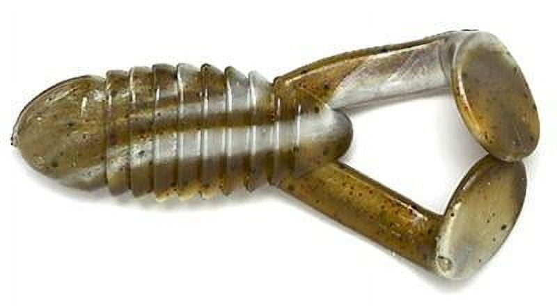 Gambler Cane Toad 4 inch Paddle Leg Frog 5 pack (June Bug) - Walmart.com