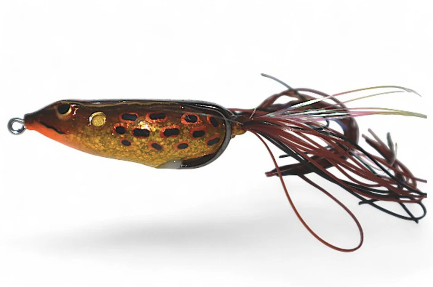 Gambler Walking Frog Yellow Belly - Walmart.com