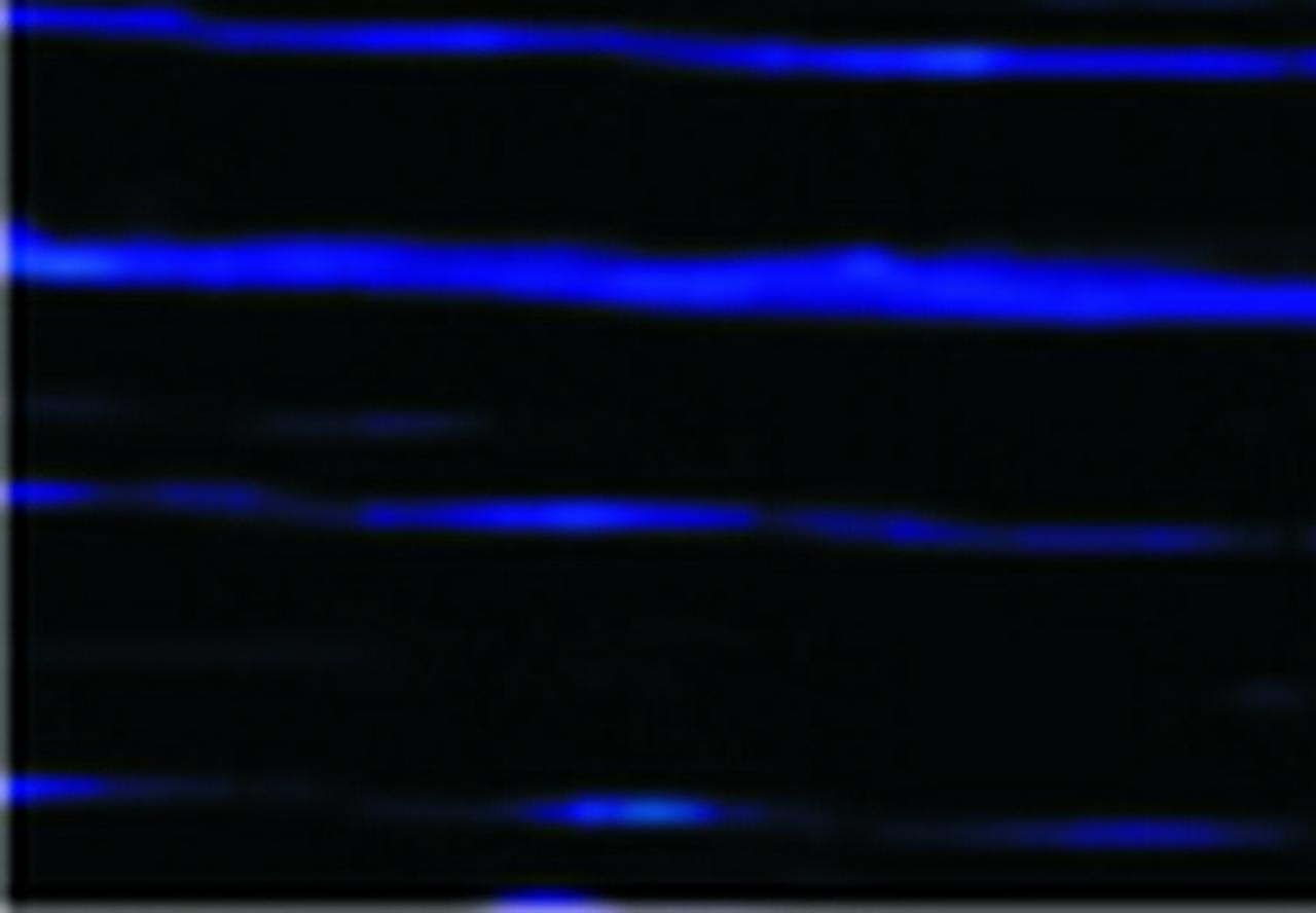 Gamblin Artist's Oil Color Paint -Single 37 ml Tube - Indanthrone Blue ...