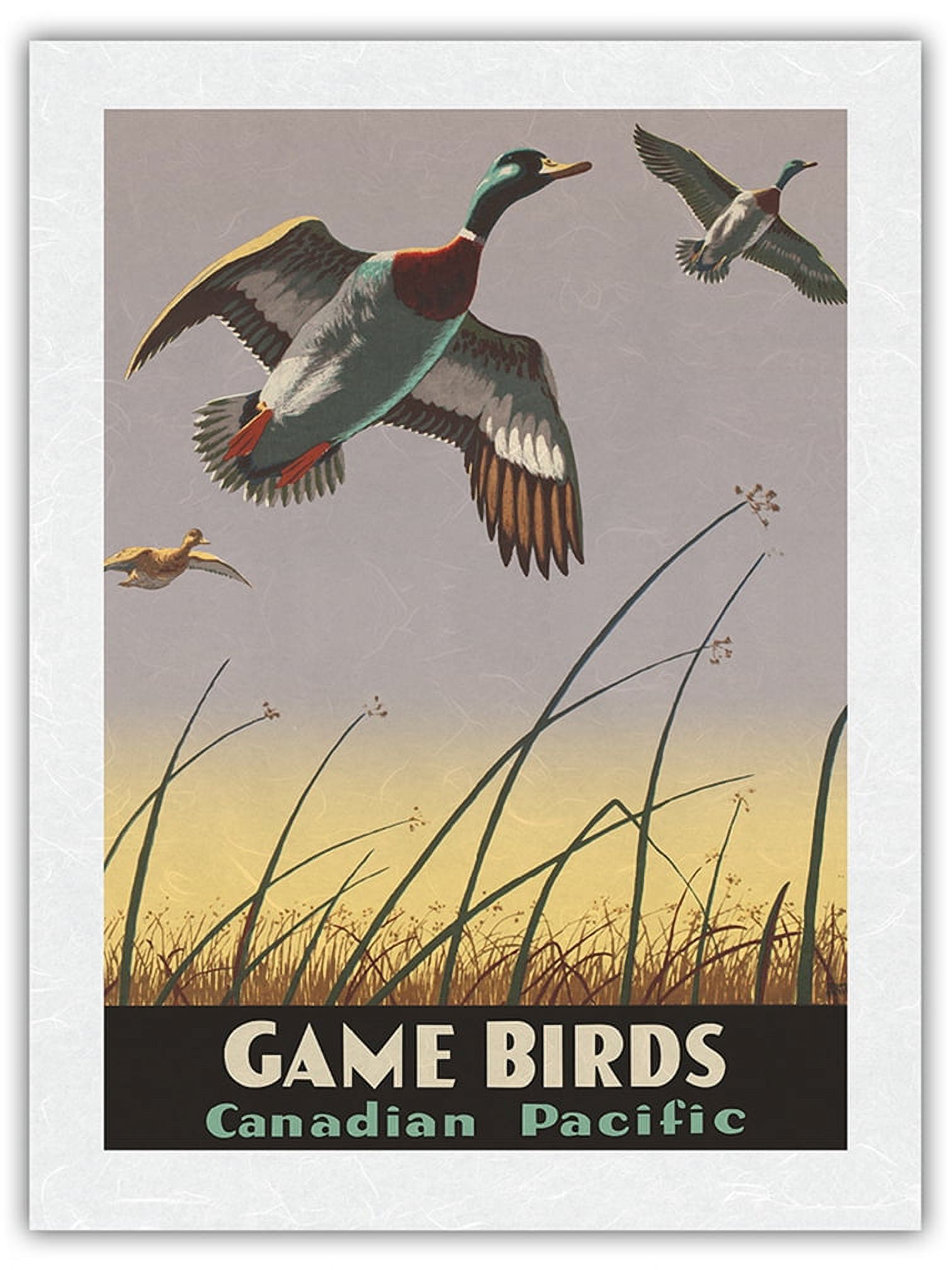 Game Birds - Canadian Pacific Railway - Vintage Railroad Travel Poster ...