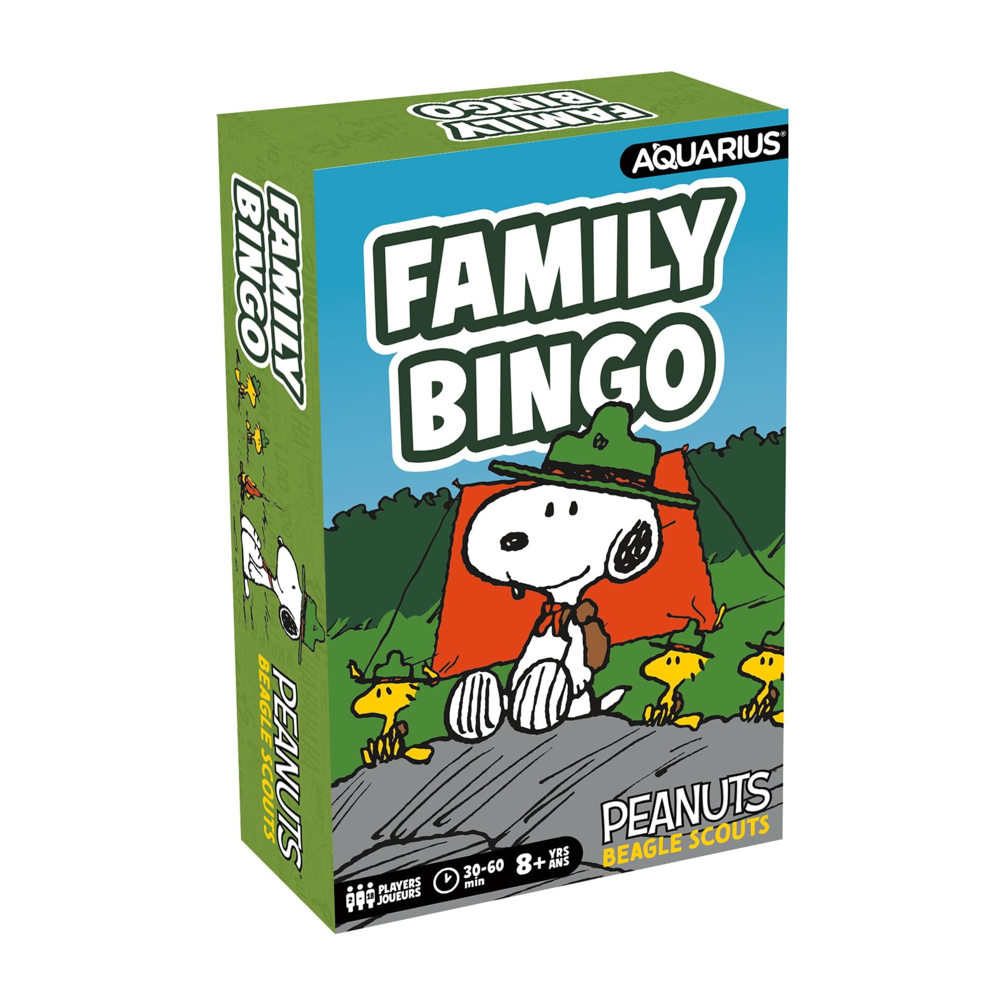 Peanuts Beagle Scouts Family Bingo - Walmart.com
