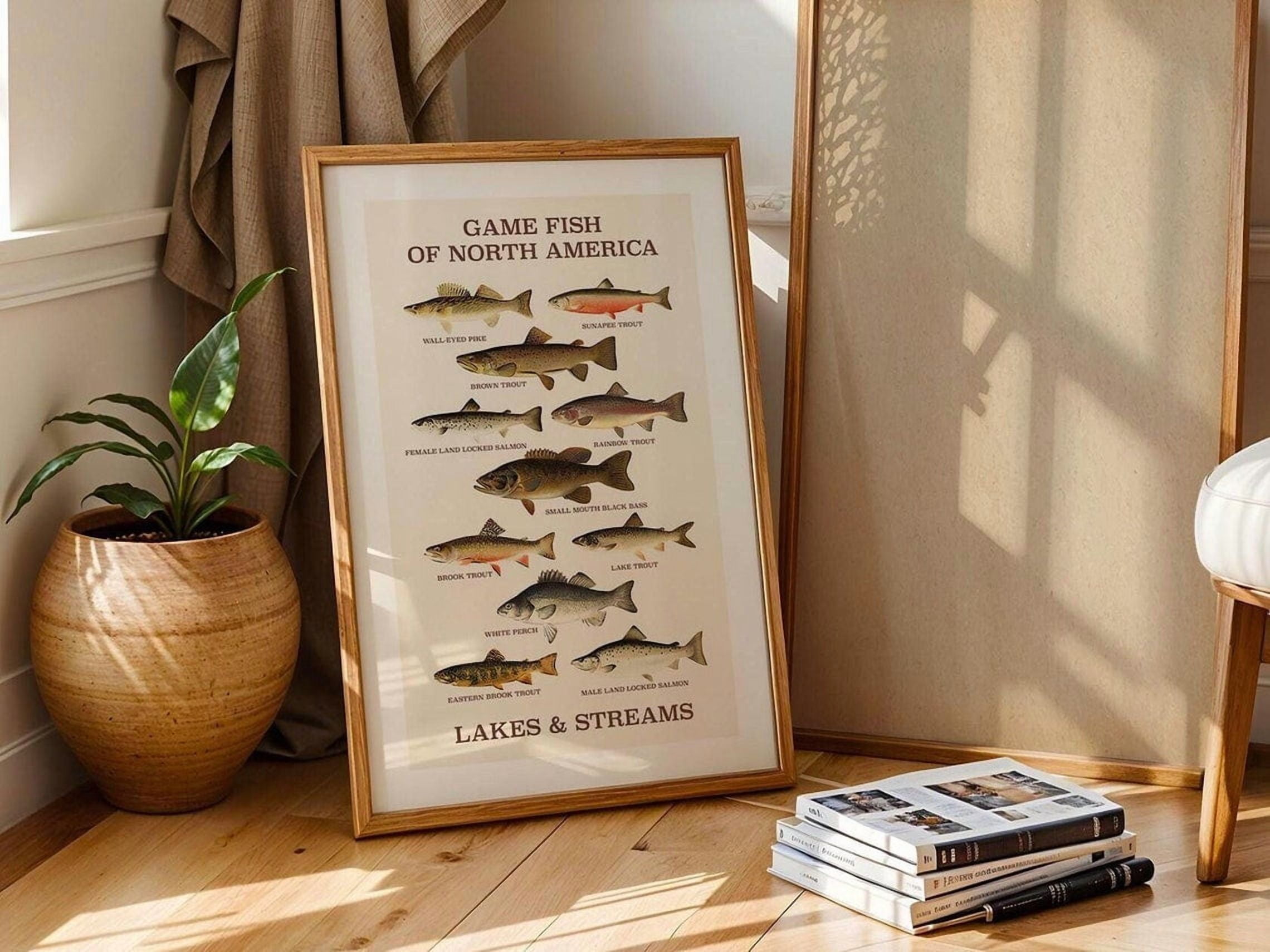 Game Fish Retro Fishing Wall Art, Unframed Canvas Size 24x36 - Walmart.com