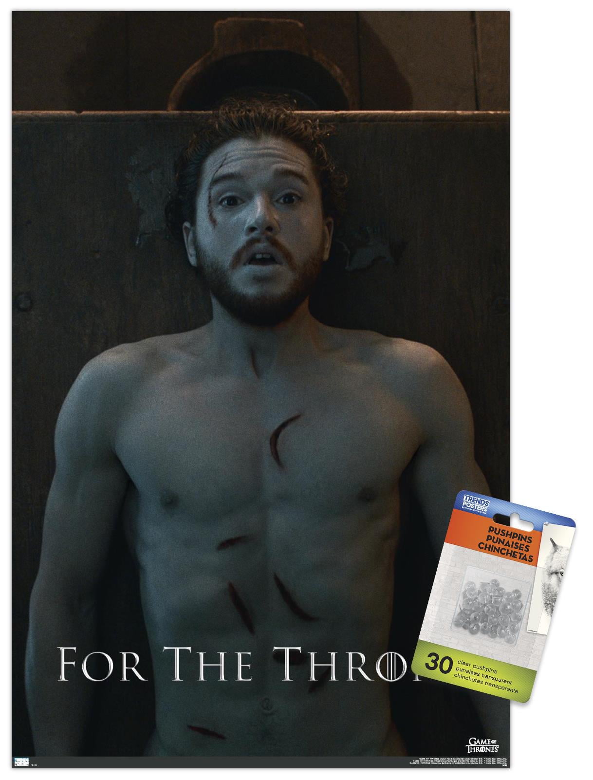 Game of Thrones - Jon Snow Wall Poster with Pushpins, 14.725" x 22.375 ...