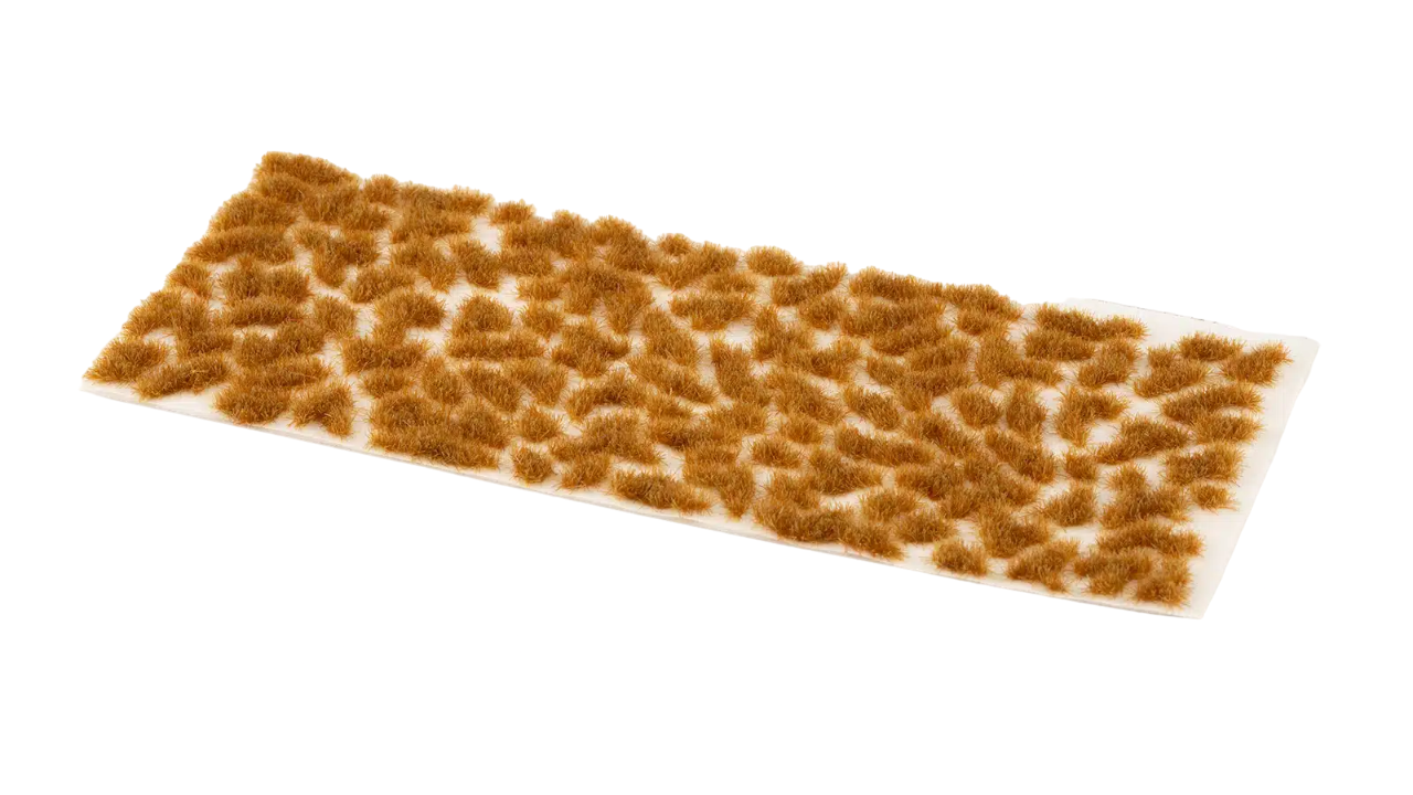 Tahoma 31 Bermuda Grass Plugs - 100 Large Plugs - Walmart.com