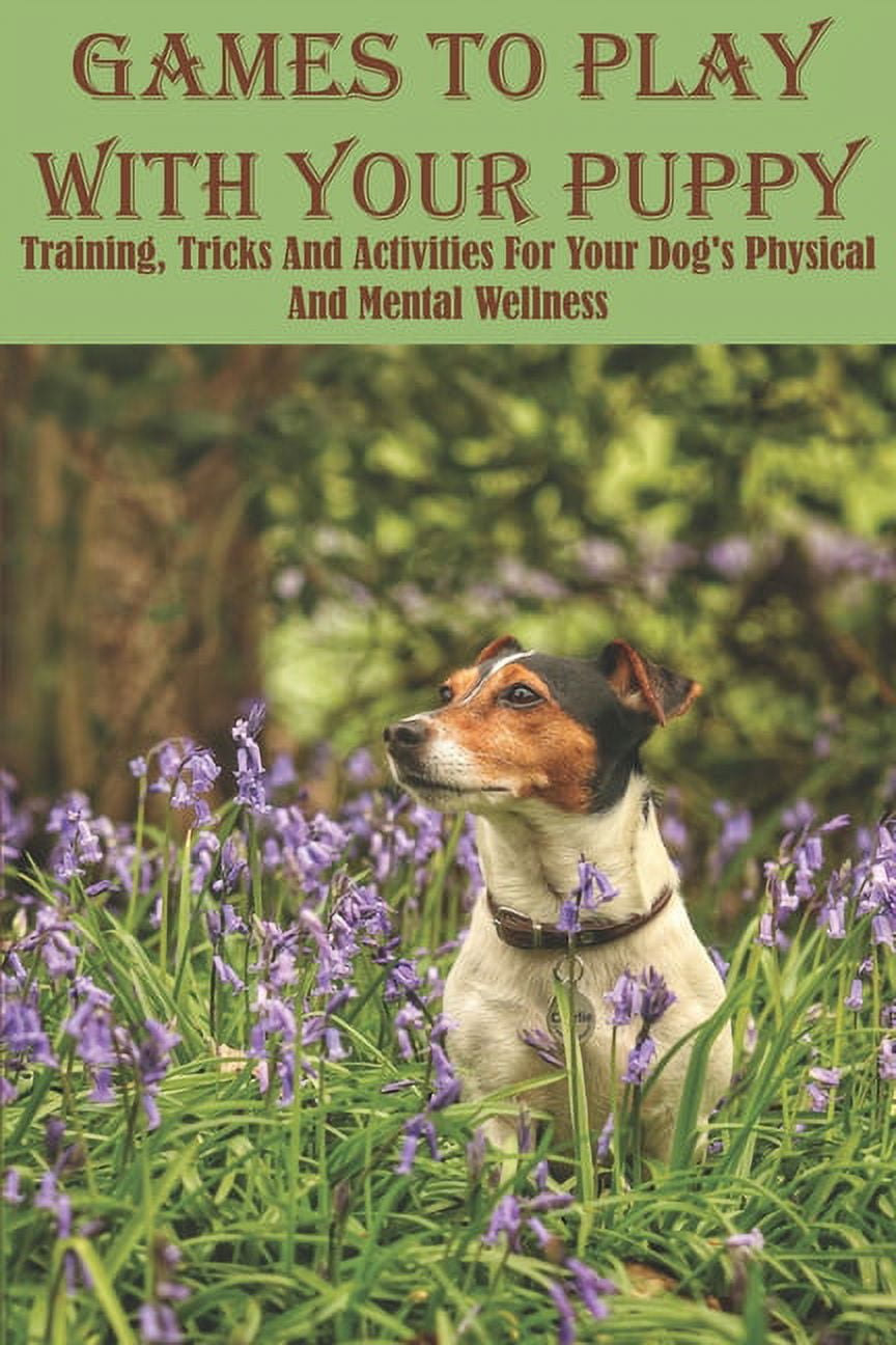 Games To Play With Your Puppy Training, Tricks And Activities For Your ...