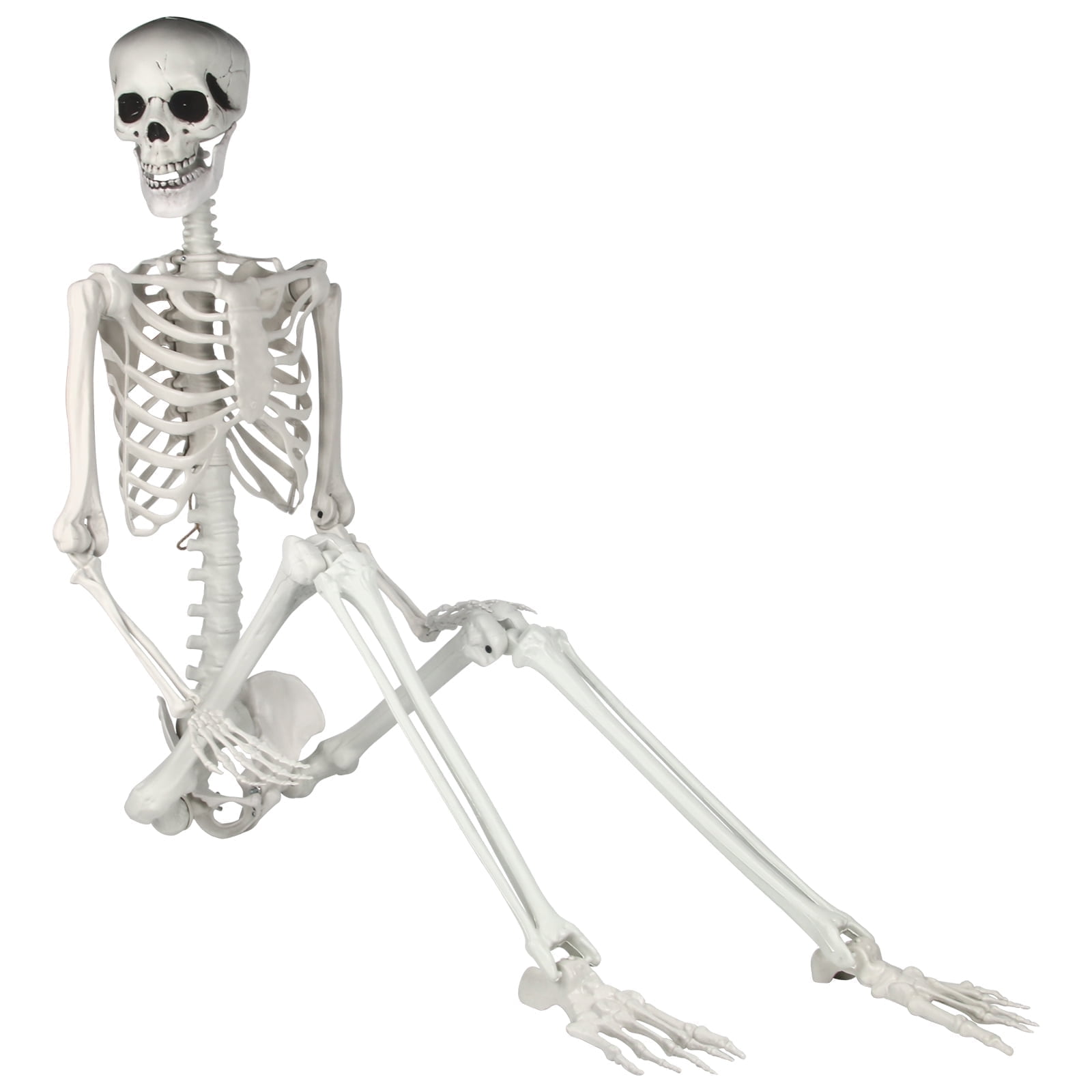 Gamexcel 6ft Full Body Posable Skeleton - Realistic Halloween ...