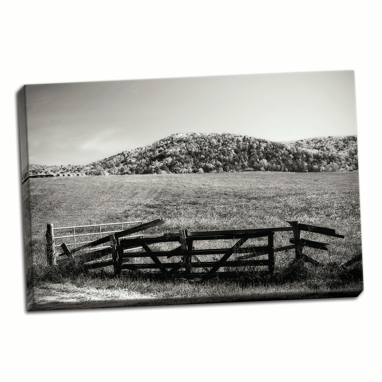 Gango Home Decor Autumn Pastures IV by Alan Hausenflock (Ready to Hang ...