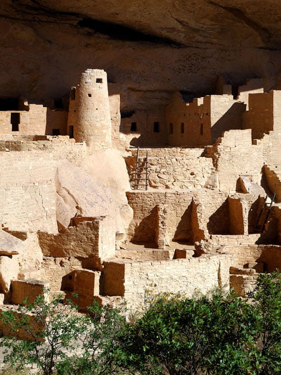 Gango Home Decor Cliff Palace Portrait by Douglas Taylor (Printed on ...