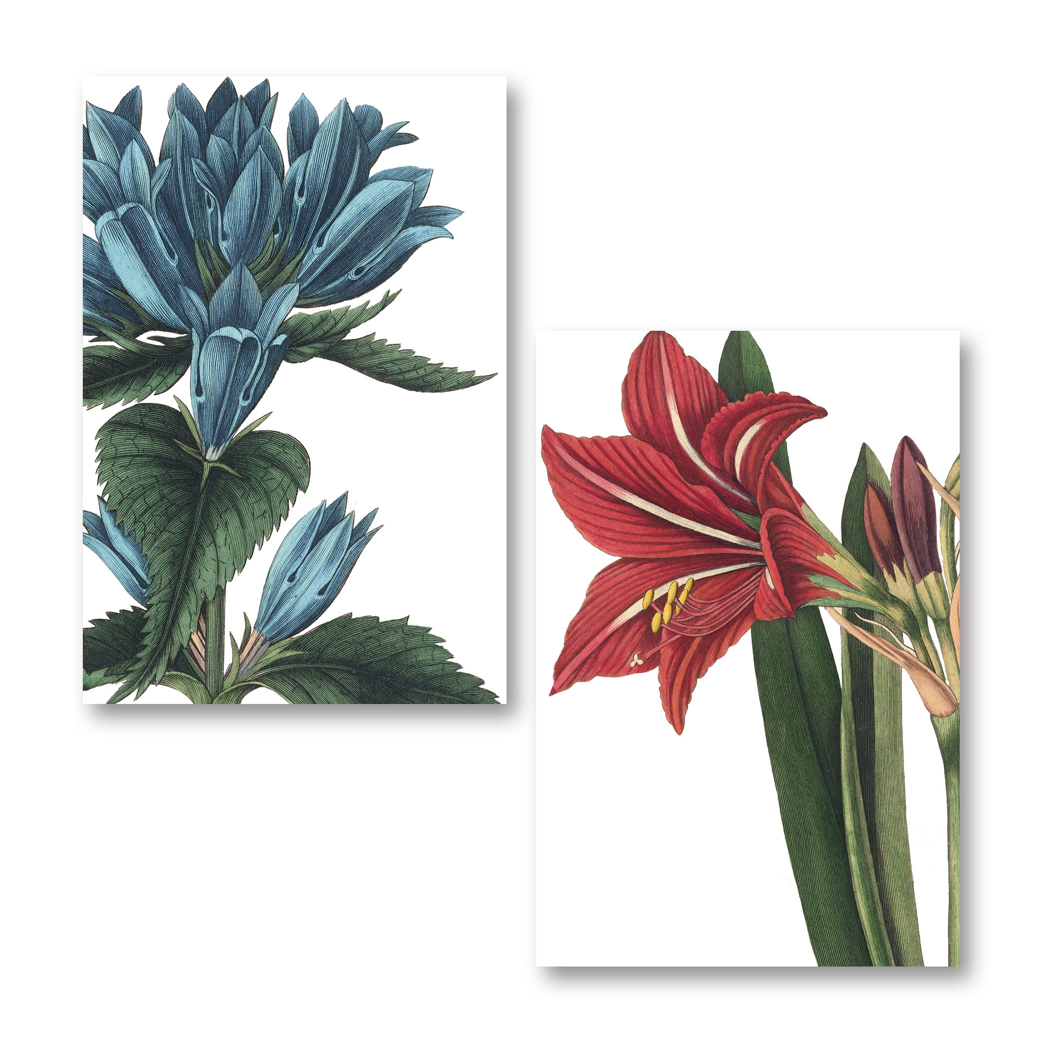 Gango Home Decor Contemporary Botanique I & II by Wild Apple Portfolio ...