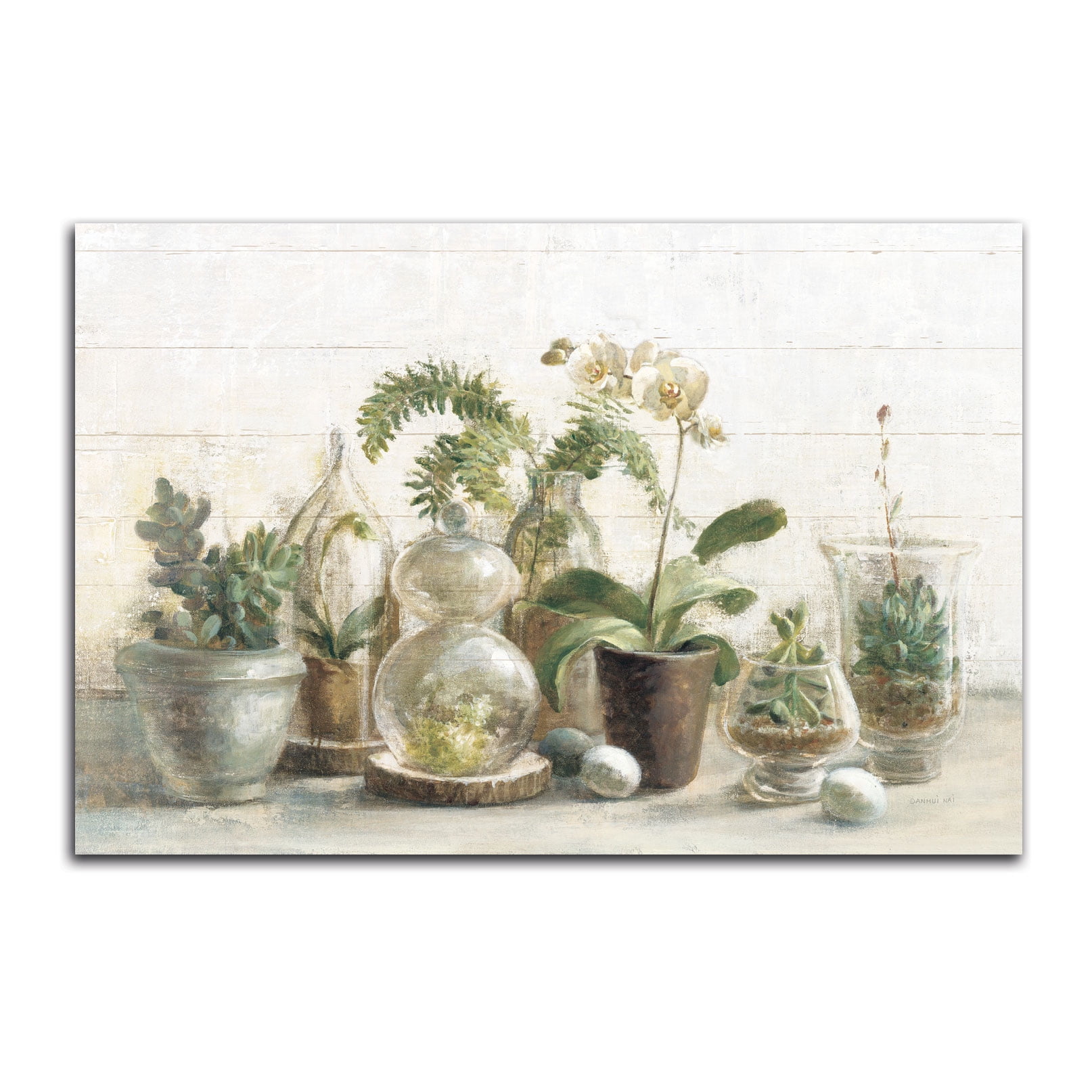 Gango Home Decor Contemporary Greenhouse Orchids on Shiplap by Danhui ...
