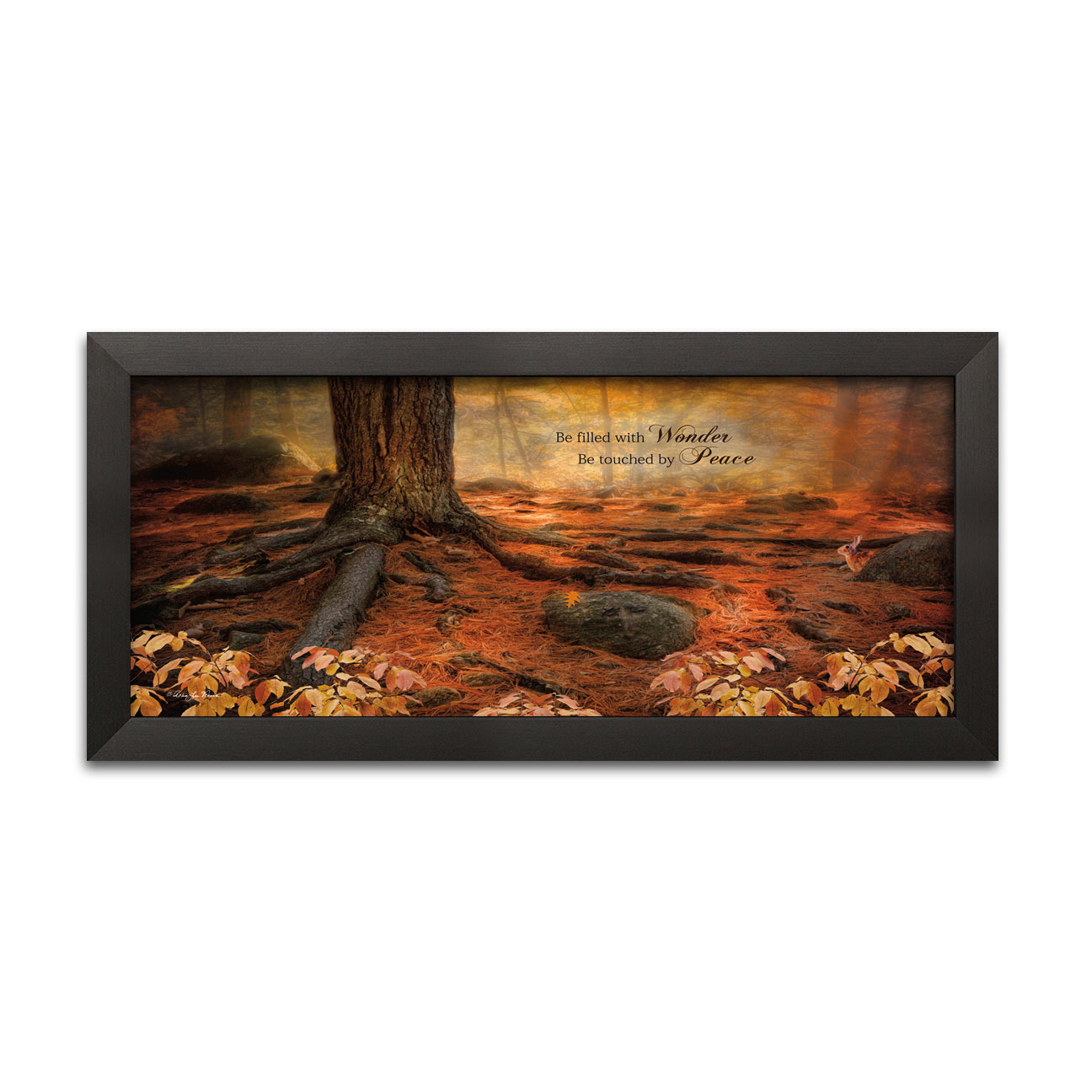 Gango Home Decor Contemporary Wonder by Robin-Lee Vieira (Ready to Hang ...