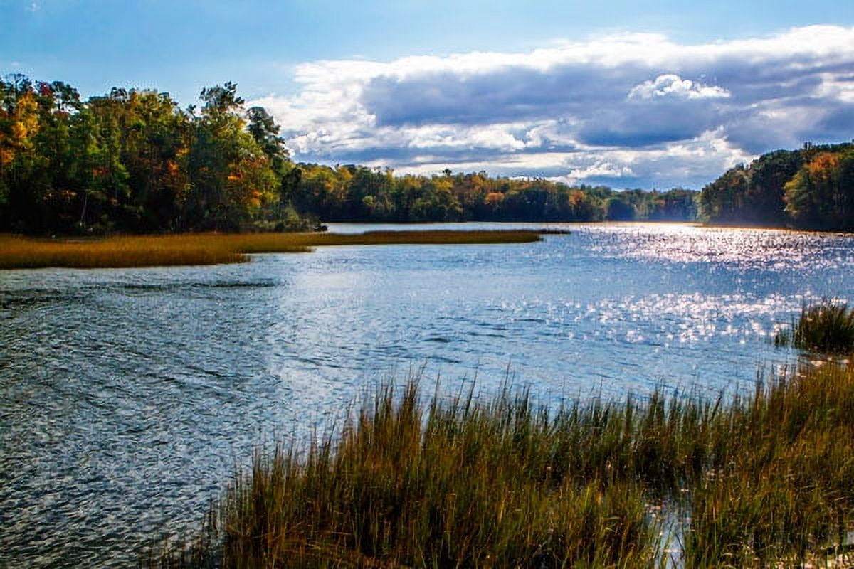 Gango Home Decor Felgates Creek II by Alan Hausenflock (Printed on ...