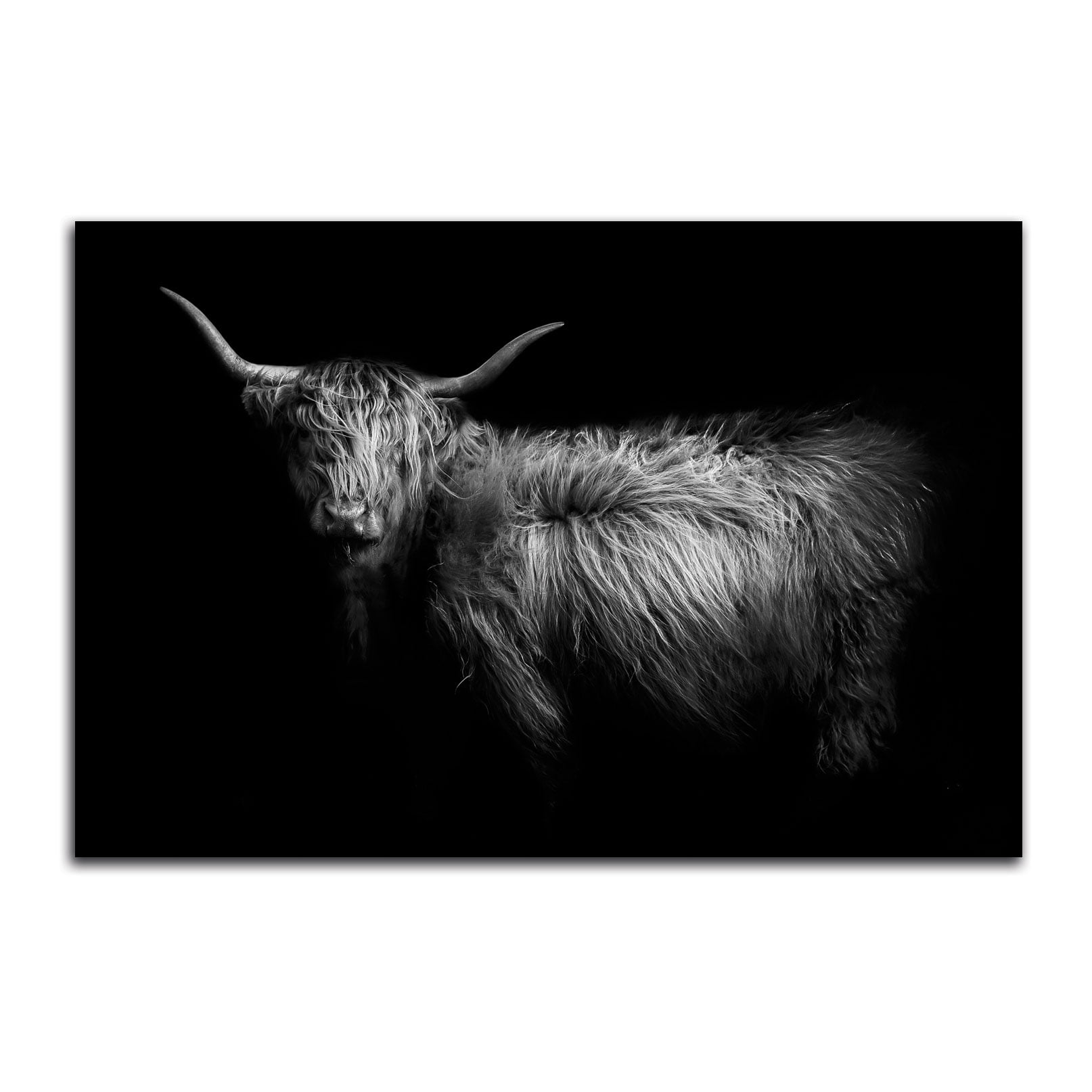 Gango Home Decor Horizontal Hello by PhotoINC Studio (Printed on Paper ...