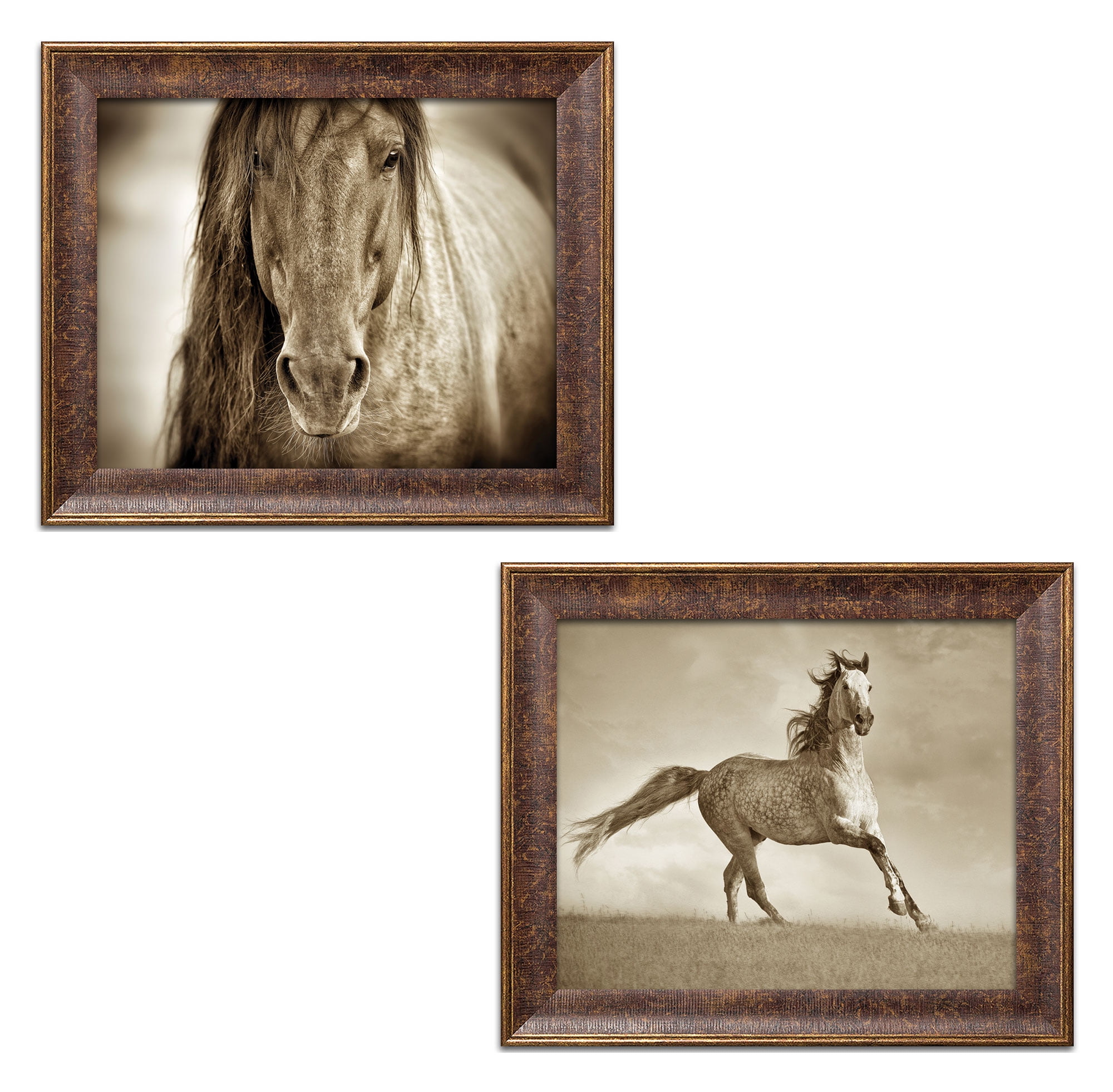 Gango Home Decor Horizontal Like the Wind & Mustang Sally by Lisa ...