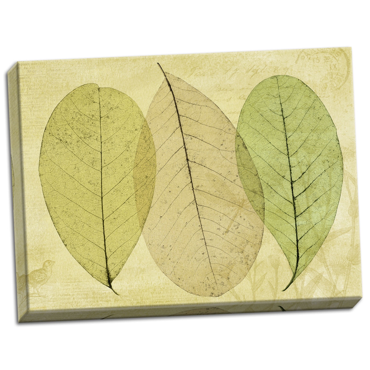 Gango Home Decor Leaf Collage II by Kathy Mahan (Ready to Hang); One ...