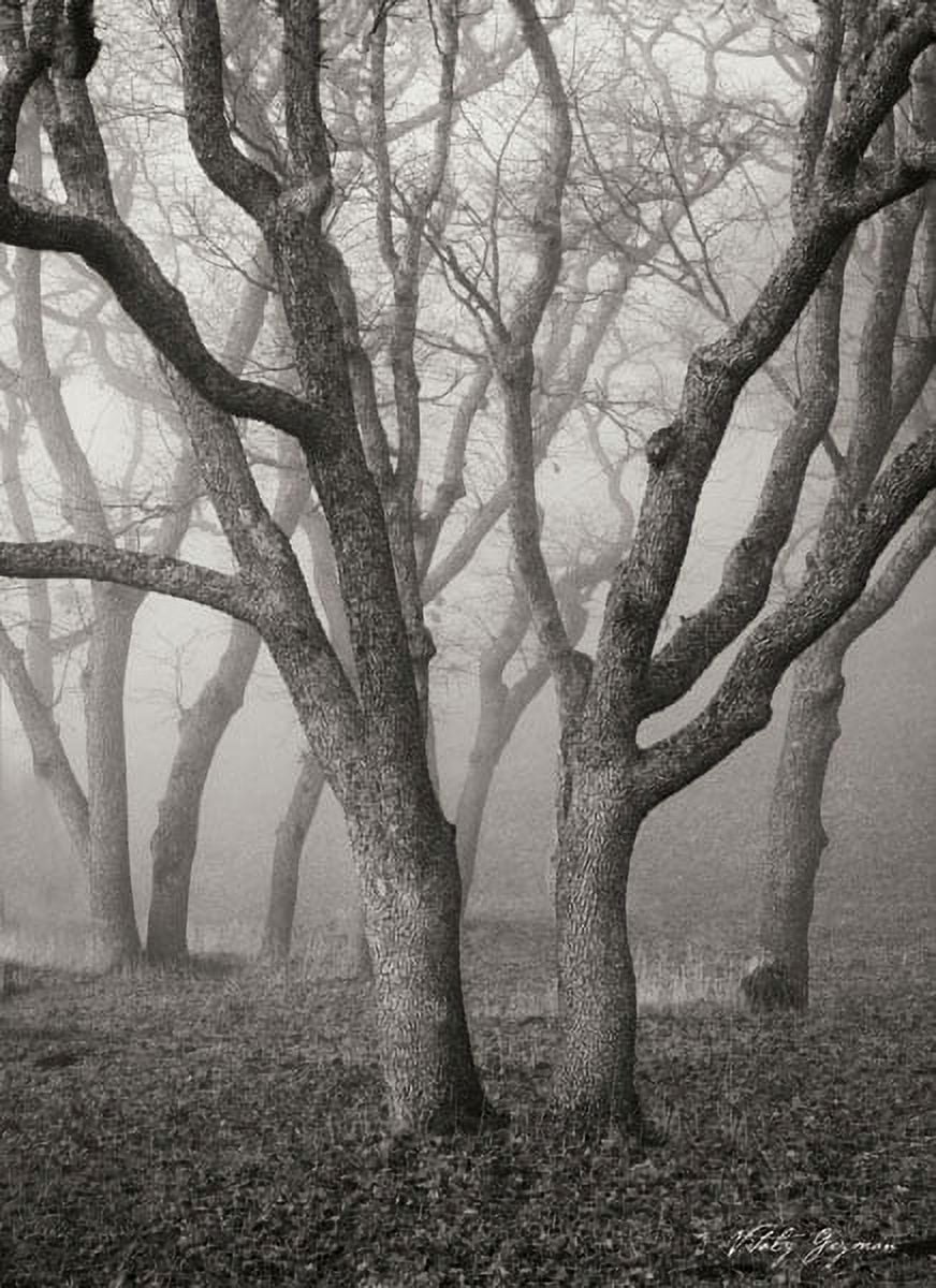 Gango Home Decor Misty Dance II B&W by Vitaly Geyman (Printed on Paper ...