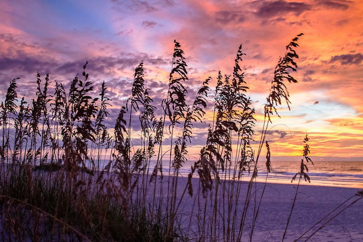 Gango Home Decor Ragged Sunrise III by Alan Hausenflock (Printed on ...