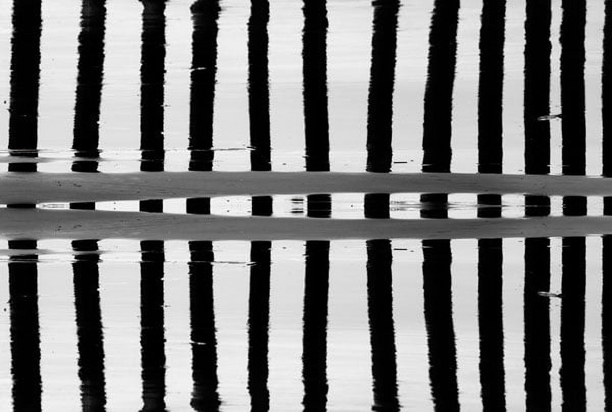Gango Home Decor Reflected Dual Pilings by Lee Peterson (Printed on ...