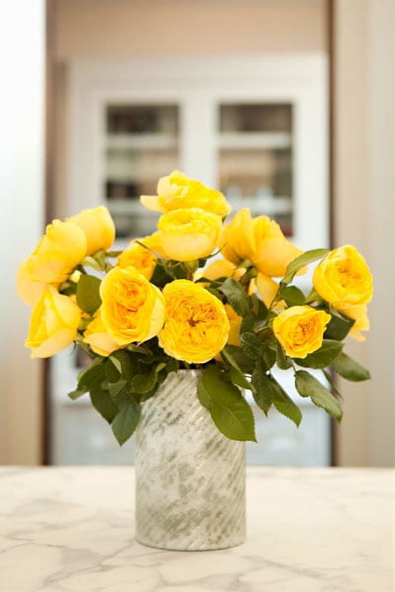 Gango Home Decor Rose Bouquet by Karyn Millet (Printed on Paper); One ...