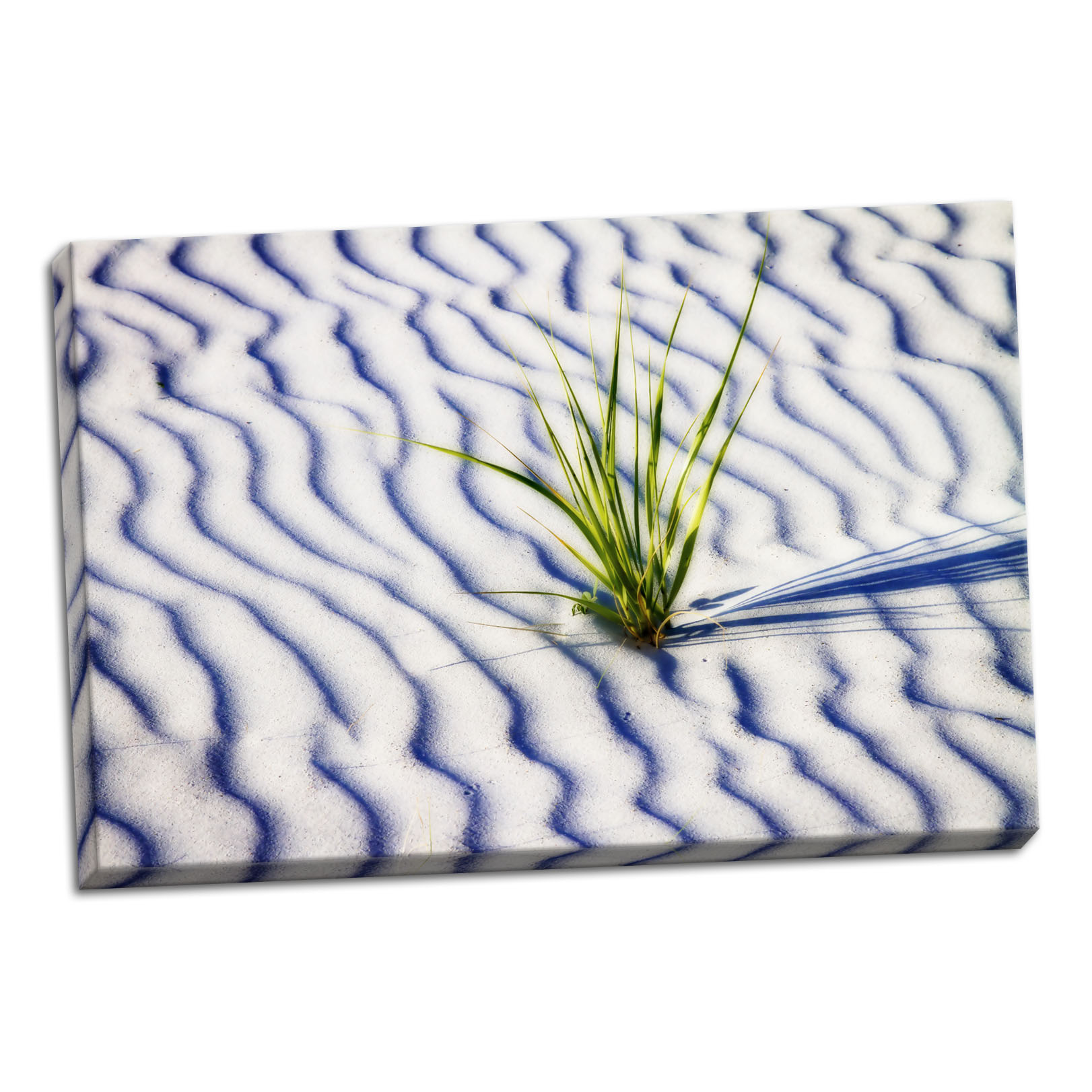 Gango Home Decor Waves of Sand I by Alan Hausenflock (Ready to Hang ...