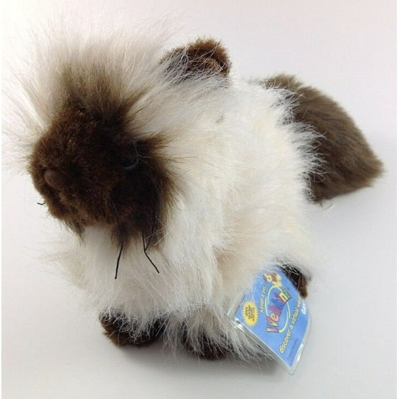 Ganz Webkinz - Himalayan Cat Plush (With Sealed Code)(BONUS 1 FUN CHOPS ...